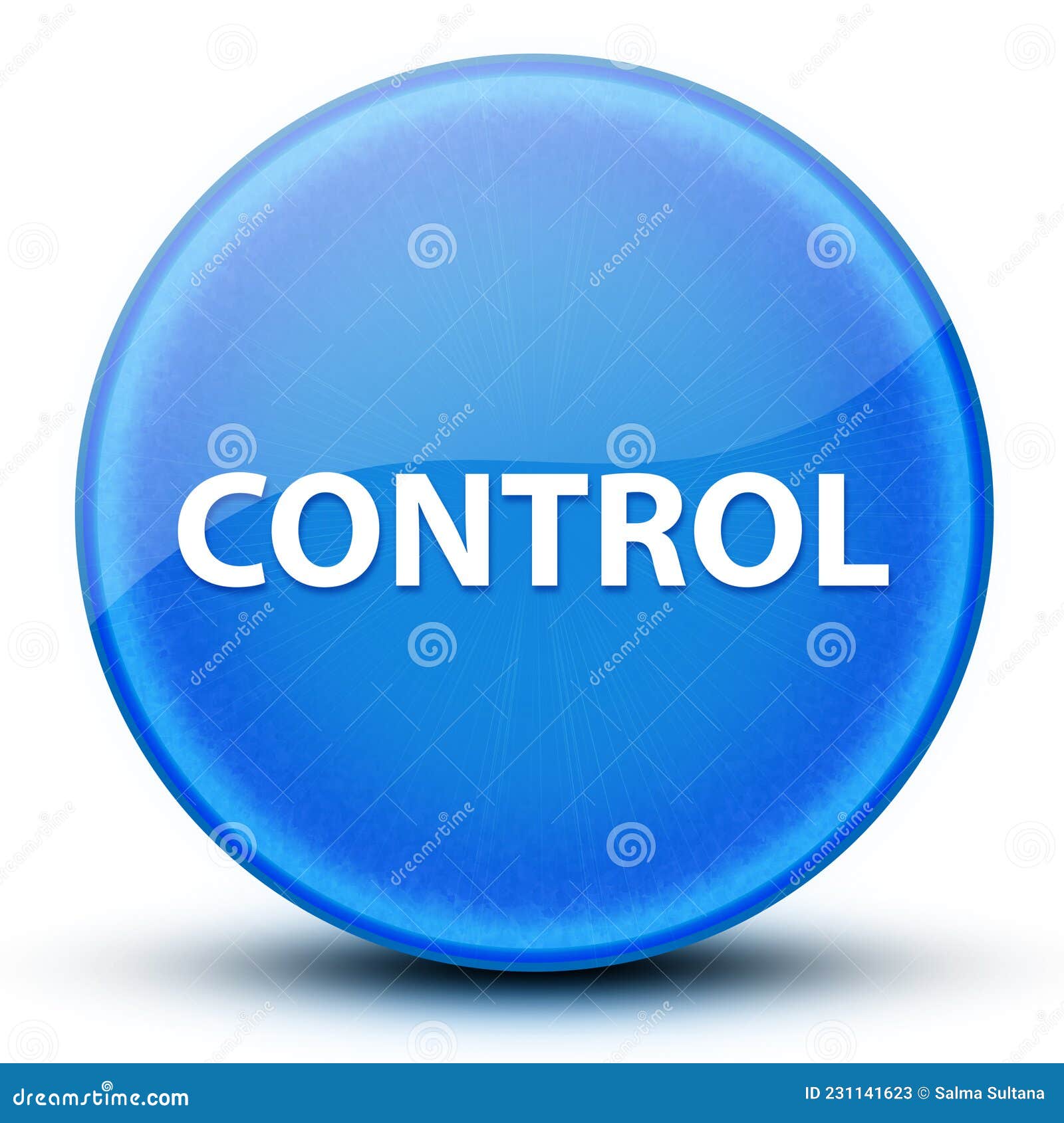Control Eyeball Glossy Elegant Blue Round Button Abstract Stock ...