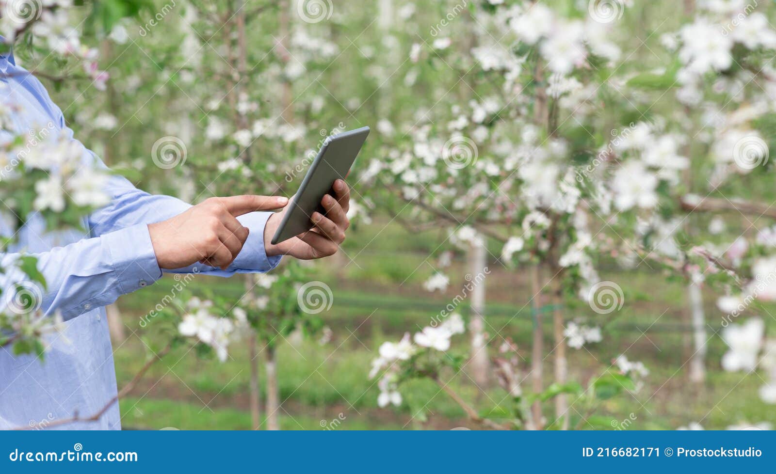 Control of Growth and Blooming of Plants in Orchard, Collect Data with ...
