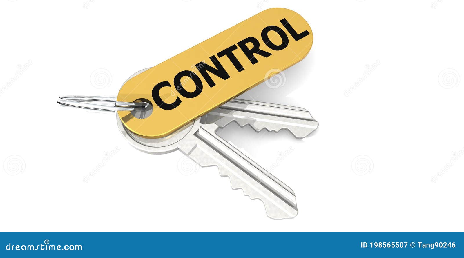 Control Label Attached To the Keys Stock Illustration - Illustration of ...