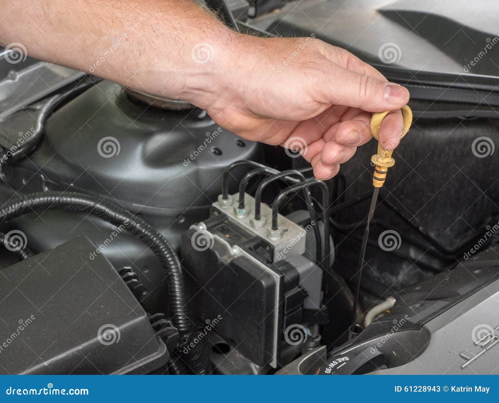 Control of the Level of Engine Oil of a Car Stock Image - Image of ...