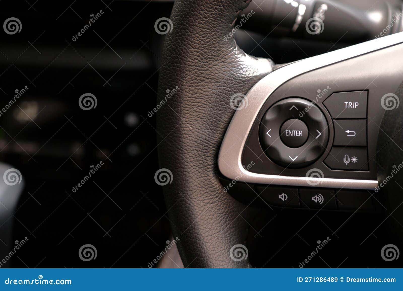 Control Switch on the Steering Wheel. Settings and Sound Adjustment ...