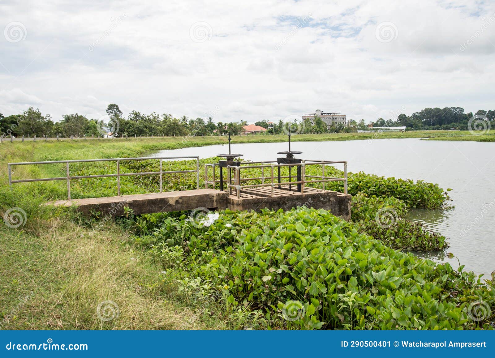 Control water gate valve stock image. Image of gear - 290500401