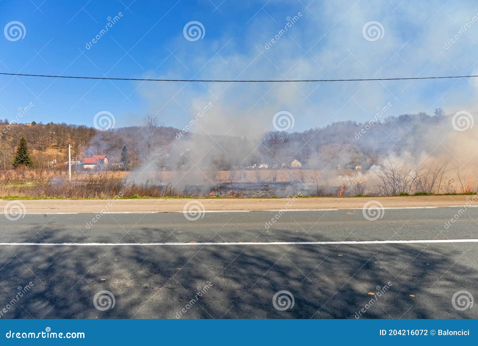 Controlled Burn Road stock photo. Image of smoke, damage - 204216072