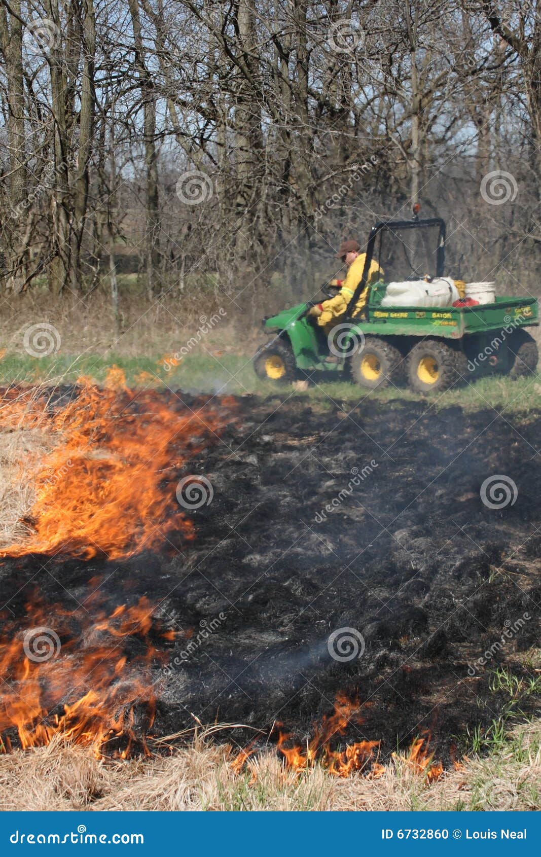 Controlled Burning editorial image. Image of burn, recycling - 6732860