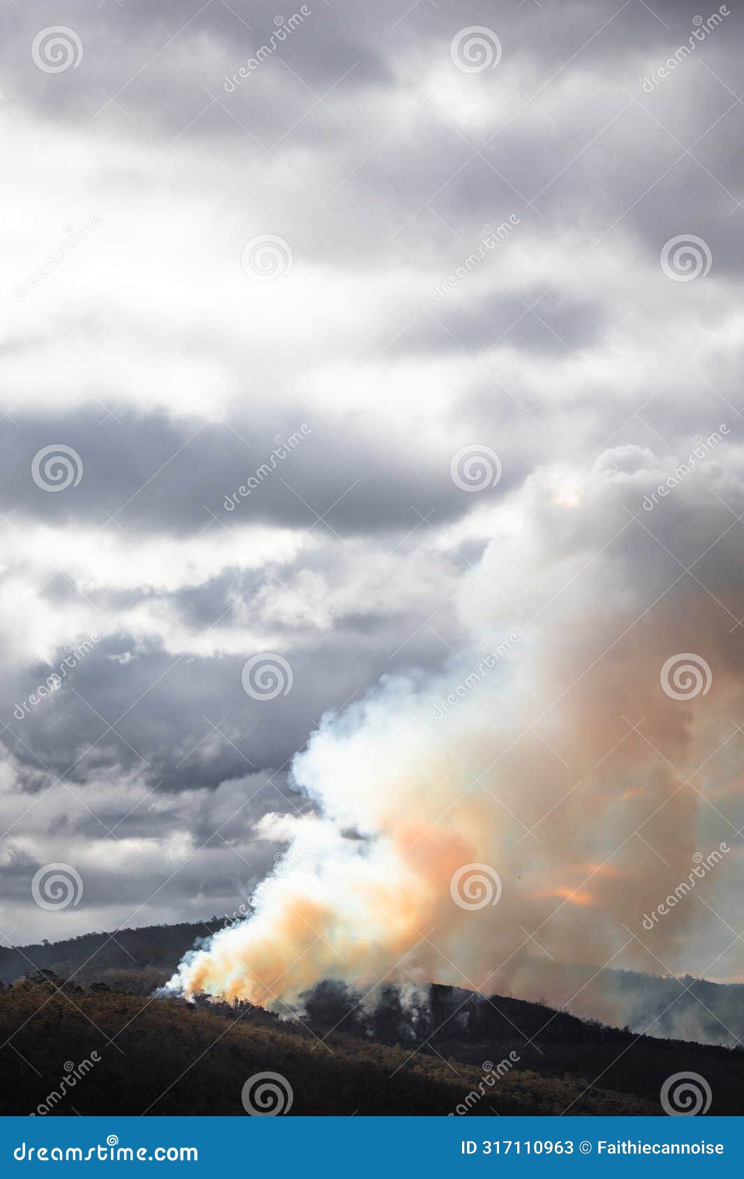 Controlled Burns Creating Thick Smoke Over the Bush in Australia Stock ...