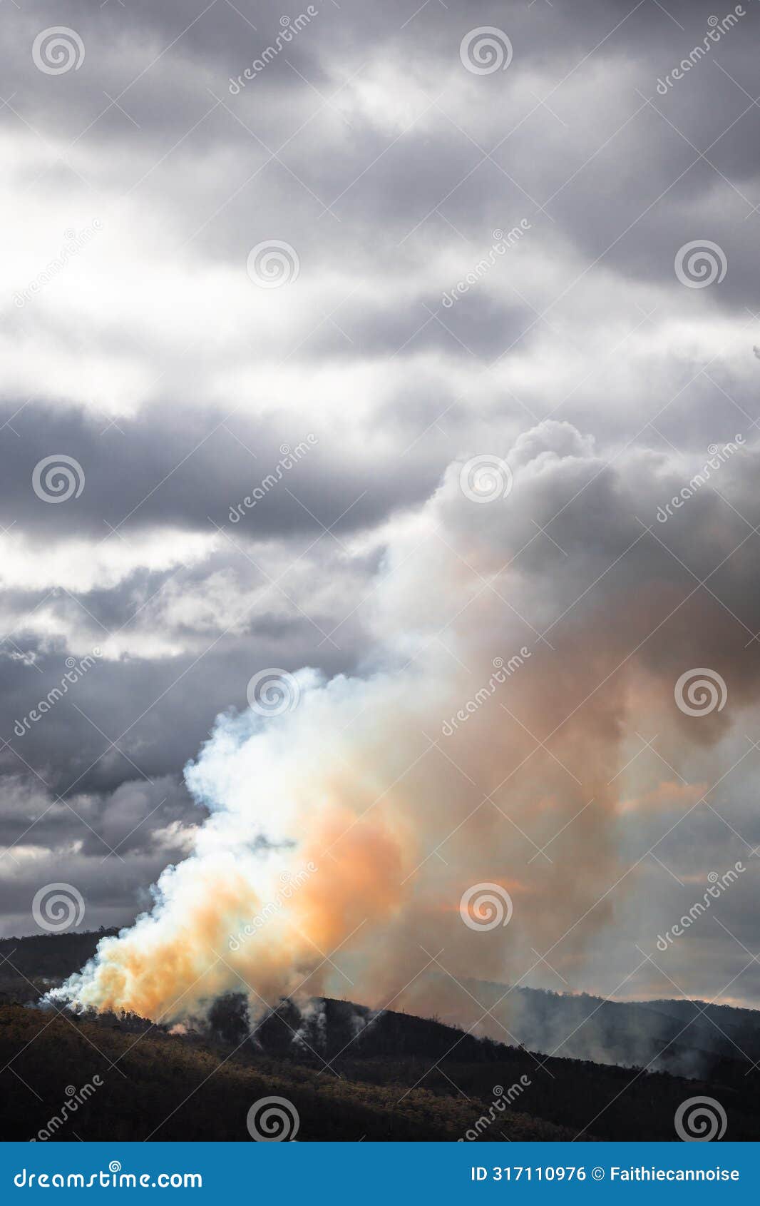 Controlled Burns Creating Thick Smoke Over the Bush in Australia Stock ...