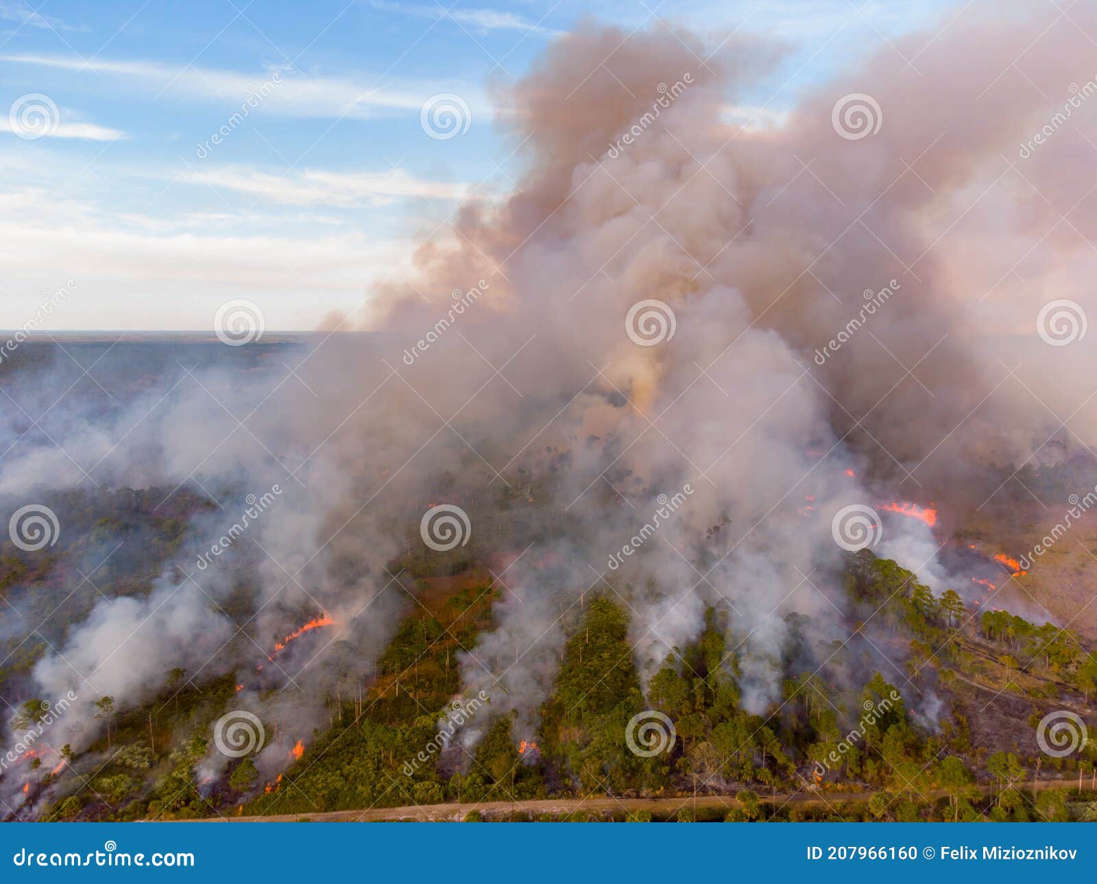 Controlled Fire Burn in Forest Woods Smoke and Flames Stock Photo ...