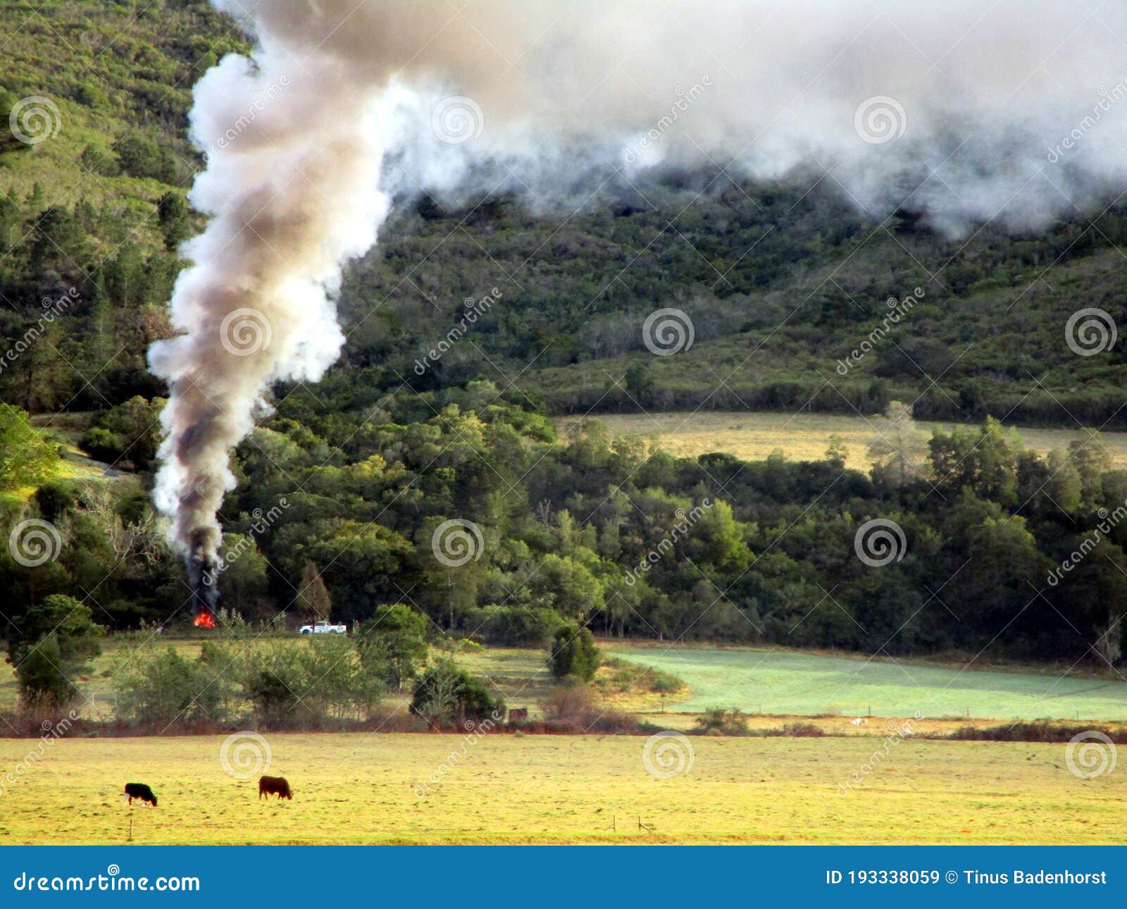 A Controlled Fire Burning on a Farm Stock Image - Image of distant ...