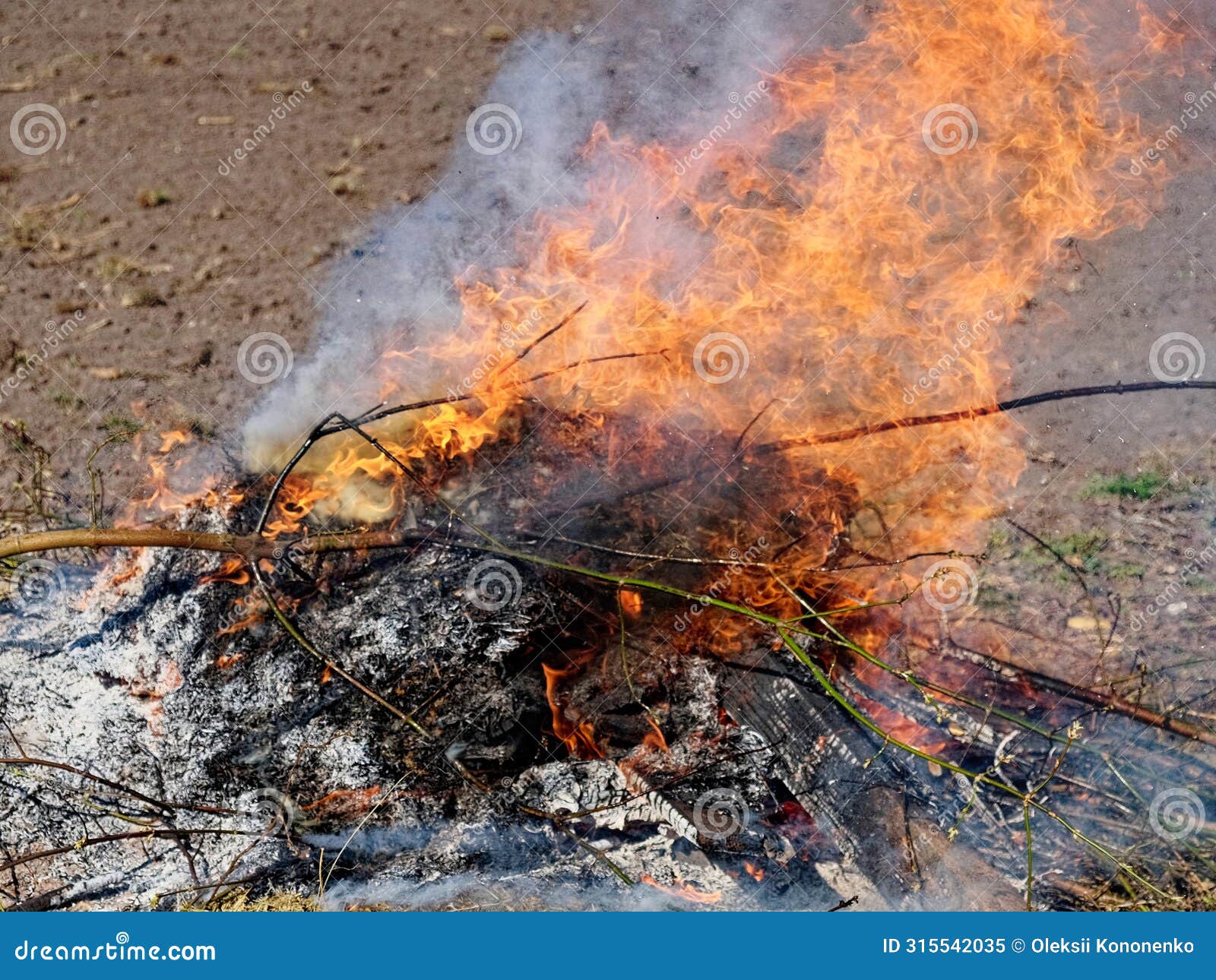 A Controlled Fire Burns Debris on the Ground Stock Image - Image of ...