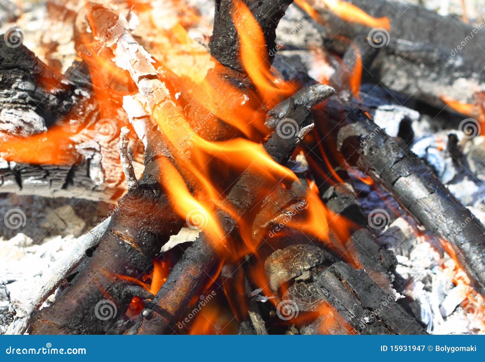 Controlled fires stock image. Image of thaw, light, burn - 15931947