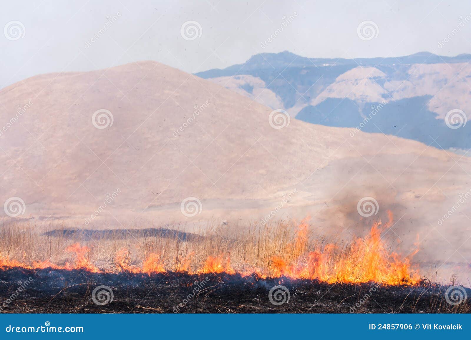 Controlled Grass Burning Near Mount Stock Photo - Image of inferno ...