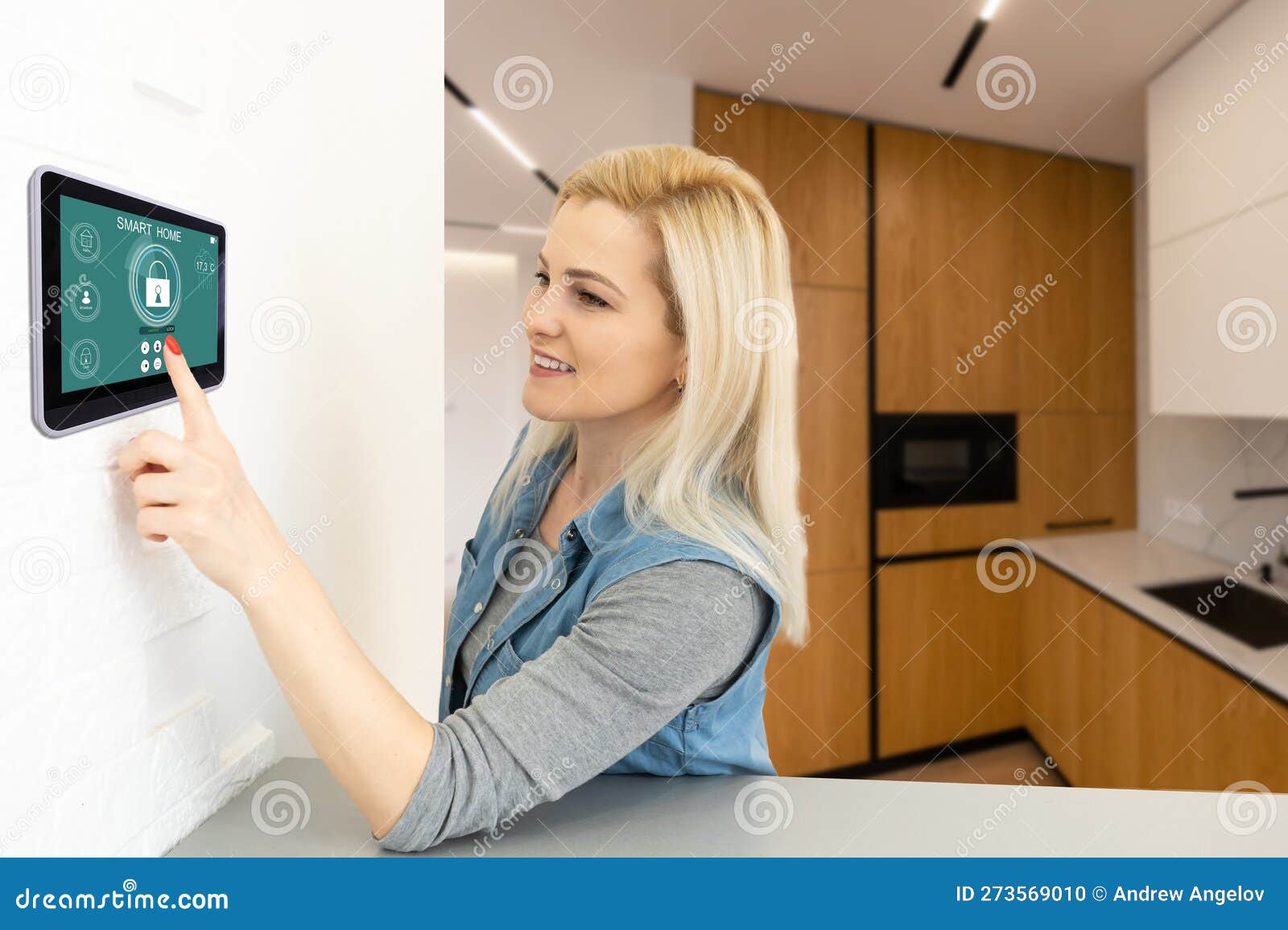 Controlling Home with a Digital Touch Screen Panel Installed on the ...
