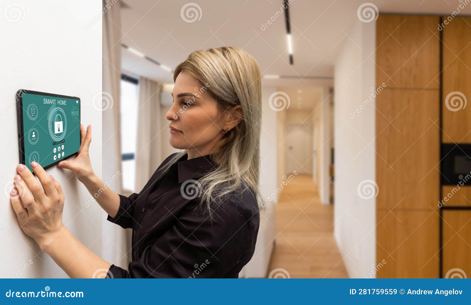 Controlling Home with a Digital Touch Screen Panel Installed on the ...