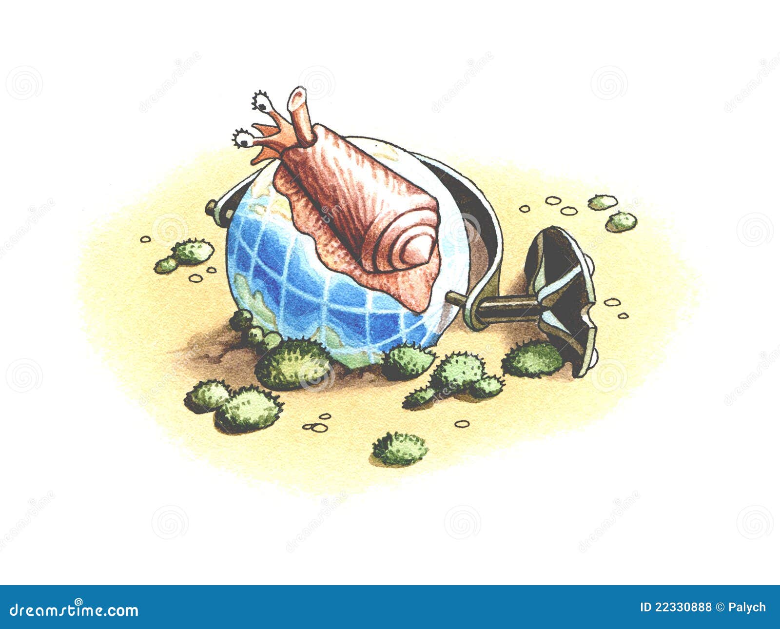 Conus Geographus (geography Cone). Stock Illustration - Illustration of ...