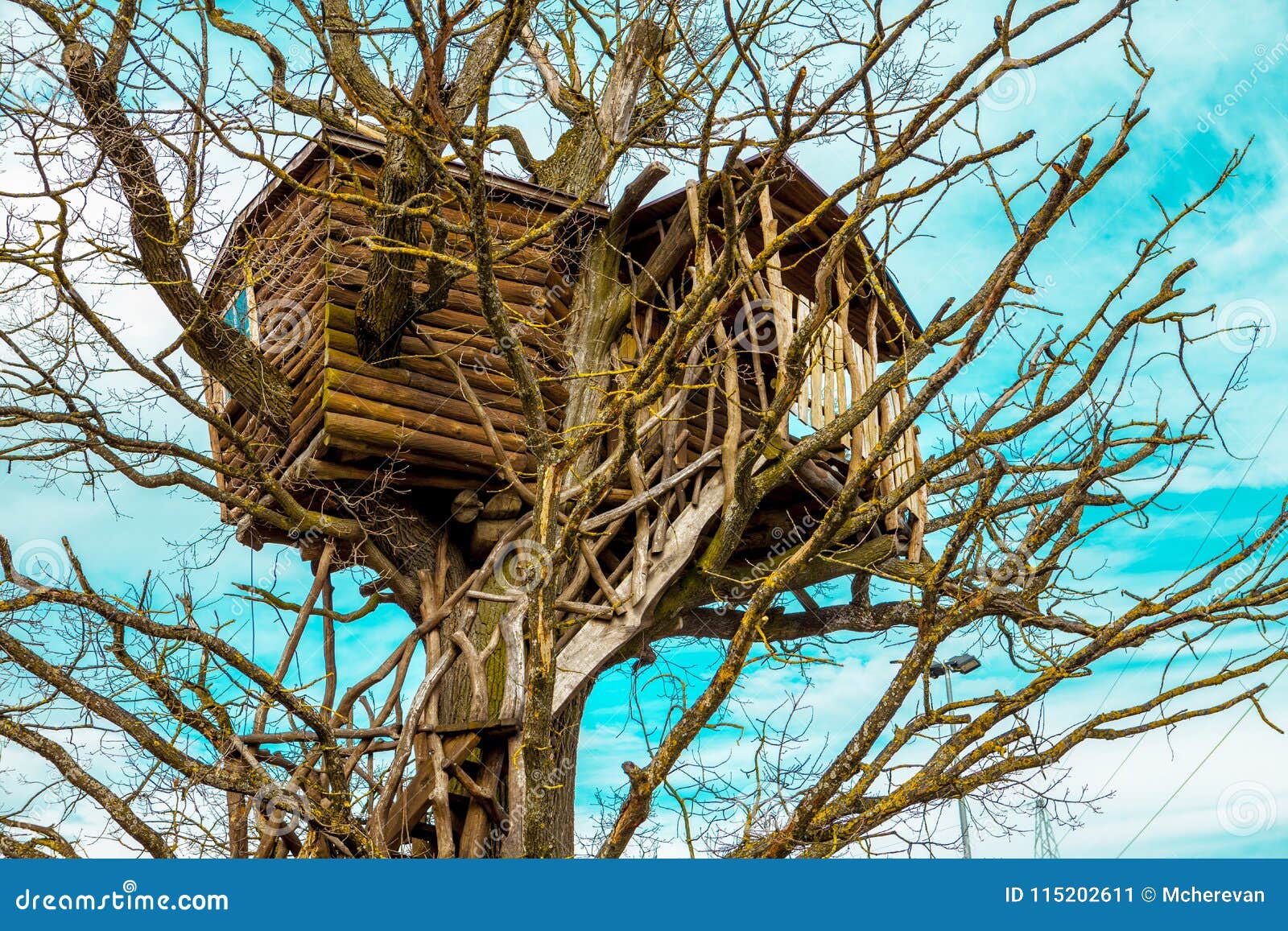 Convenient House in the Trees Stock Image - Image of summer, nature ...
