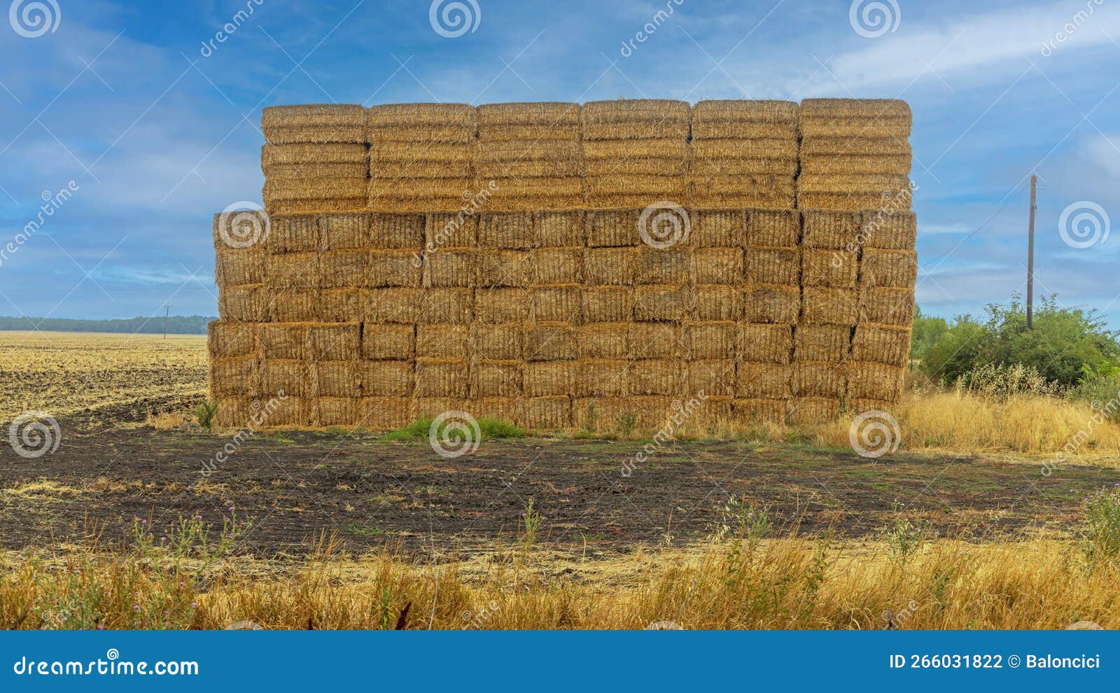 Conventional Bale Stack stock photo. Image of traditional - 266031822
