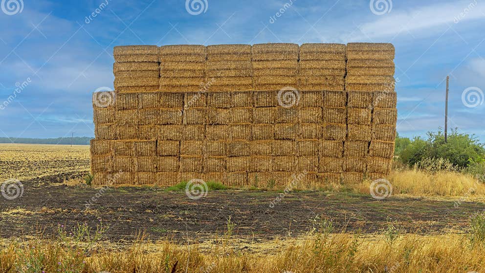 Conventional Bale Stack stock photo. Image of traditional - 266031822