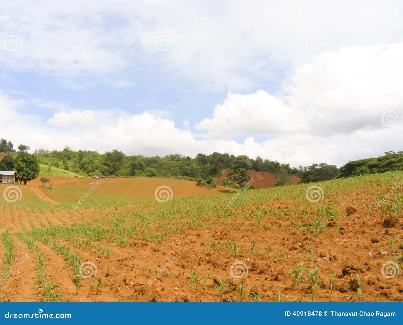 Conventional farming stock photo. Image of mountain, nature - 40918478