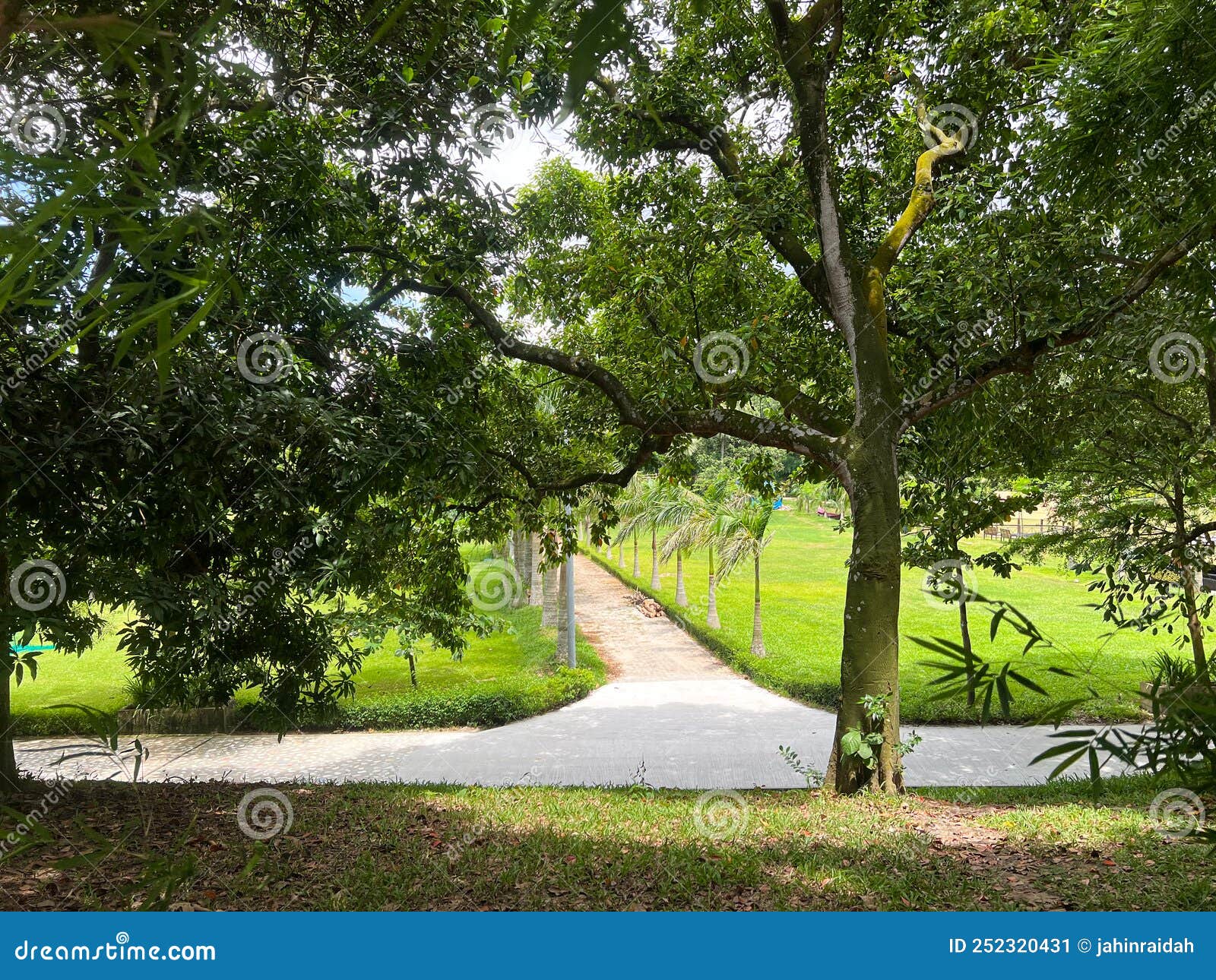 Convergence of 3 Boulevards Stock Image - Image of junction ...
