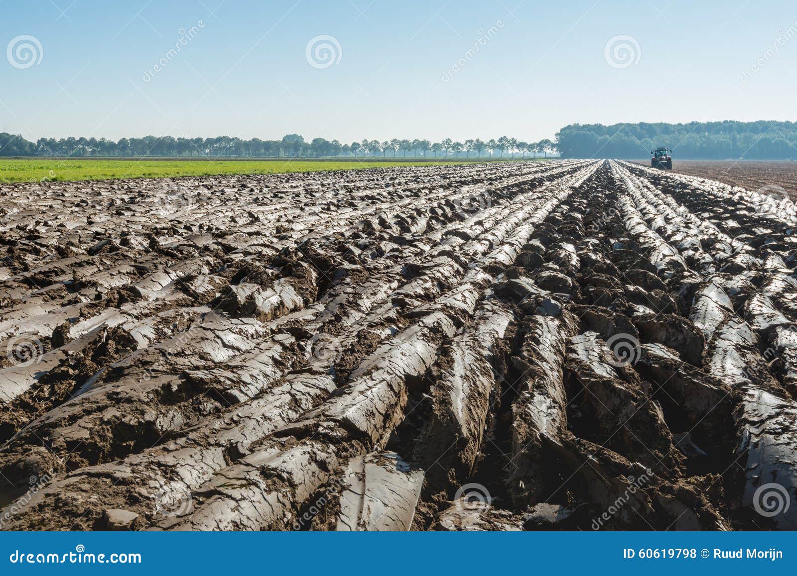 Converging Furrows in Partially Plowed Clay Soil Stock Photo - Image of ...