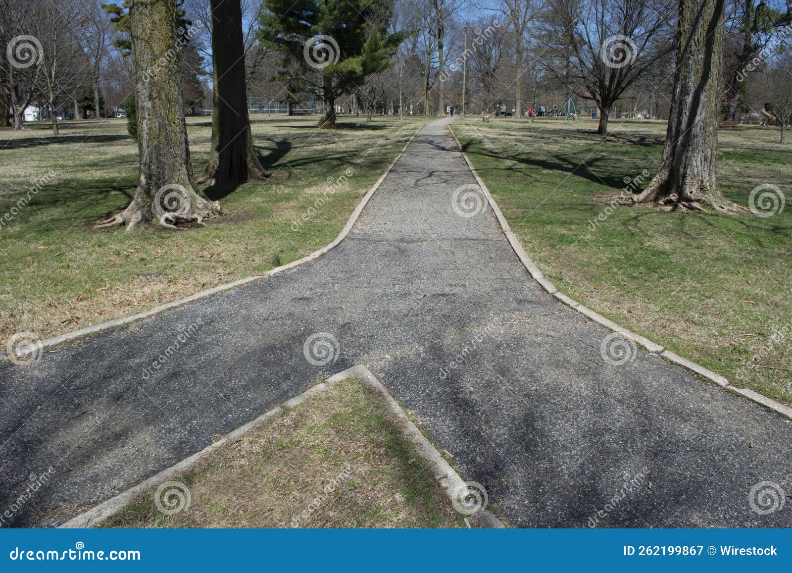 Converging Paths/Fork in the Path Stock Image - Image of forked, split ...