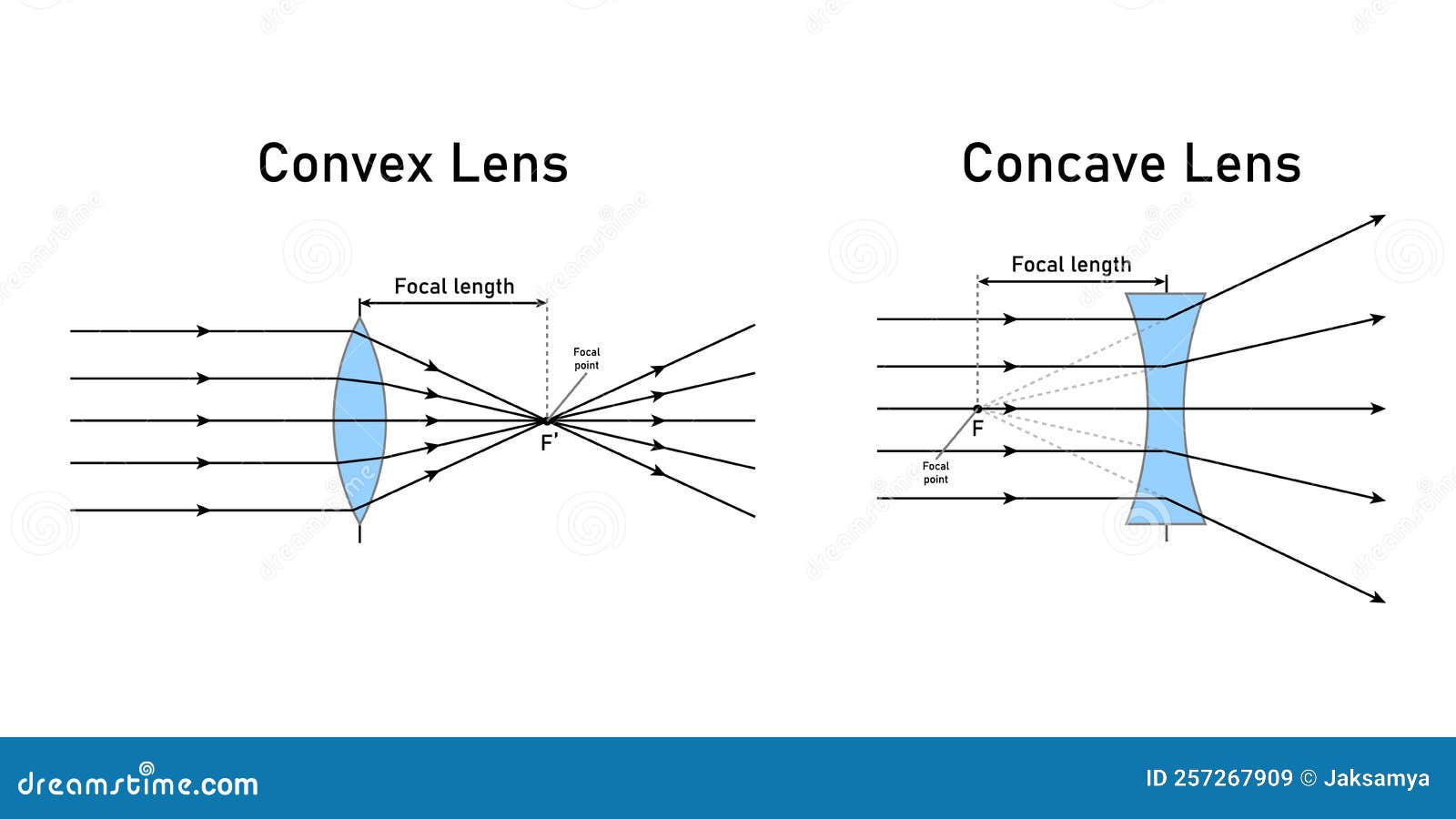 Convex And Concave Lens Schematic Diagram In Optics Physics Stock Vector Illustration Of