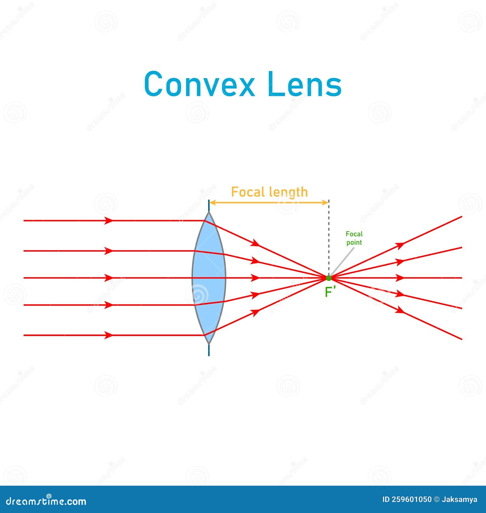 Lens In Physics Practical at Matilda Eiler blog Lens In Physics Practical at Matilda Eiler blog