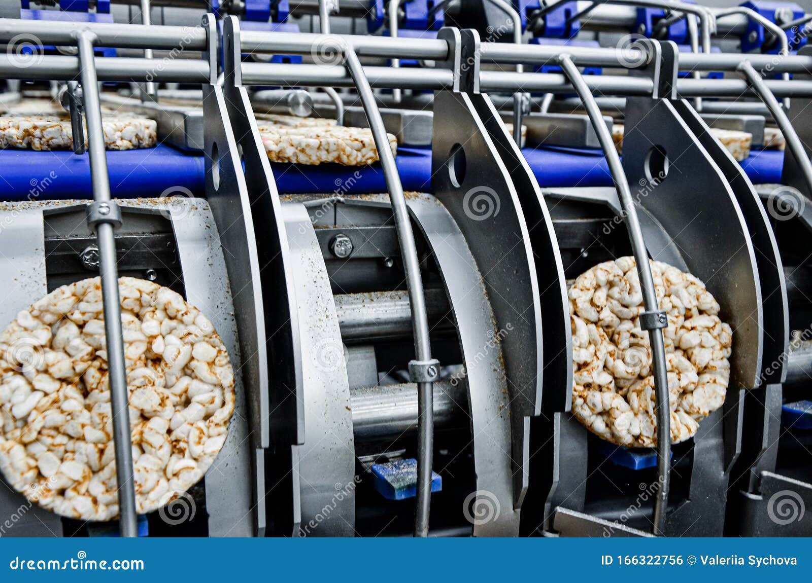 Conveyor Automatic Tape for the Production of Useful Whole-grain ...