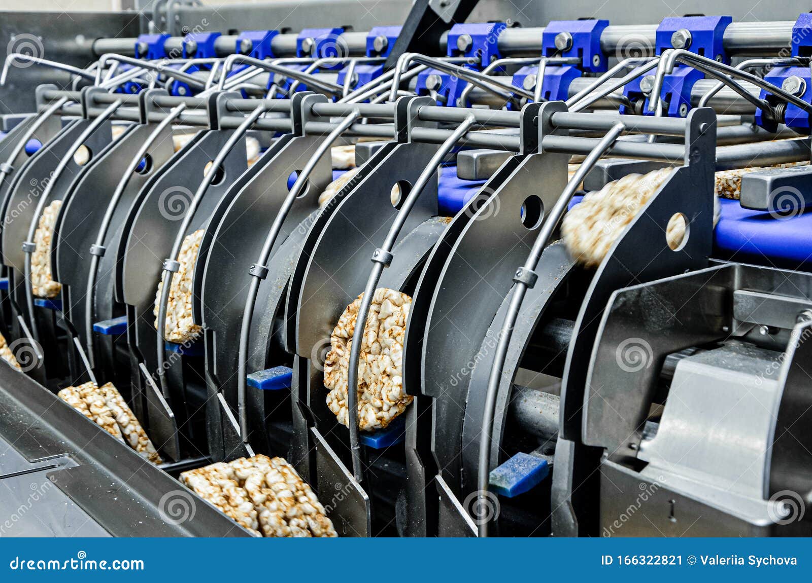 Conveyor Automatic Tape for the Production of Useful Whole-grain ...