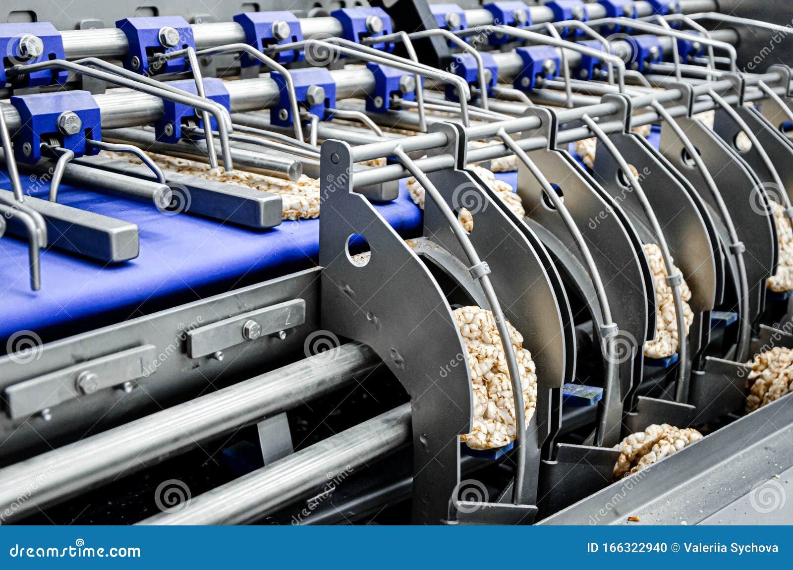 Conveyor Automatic Tape for the Production of Useful Whole-grain ...