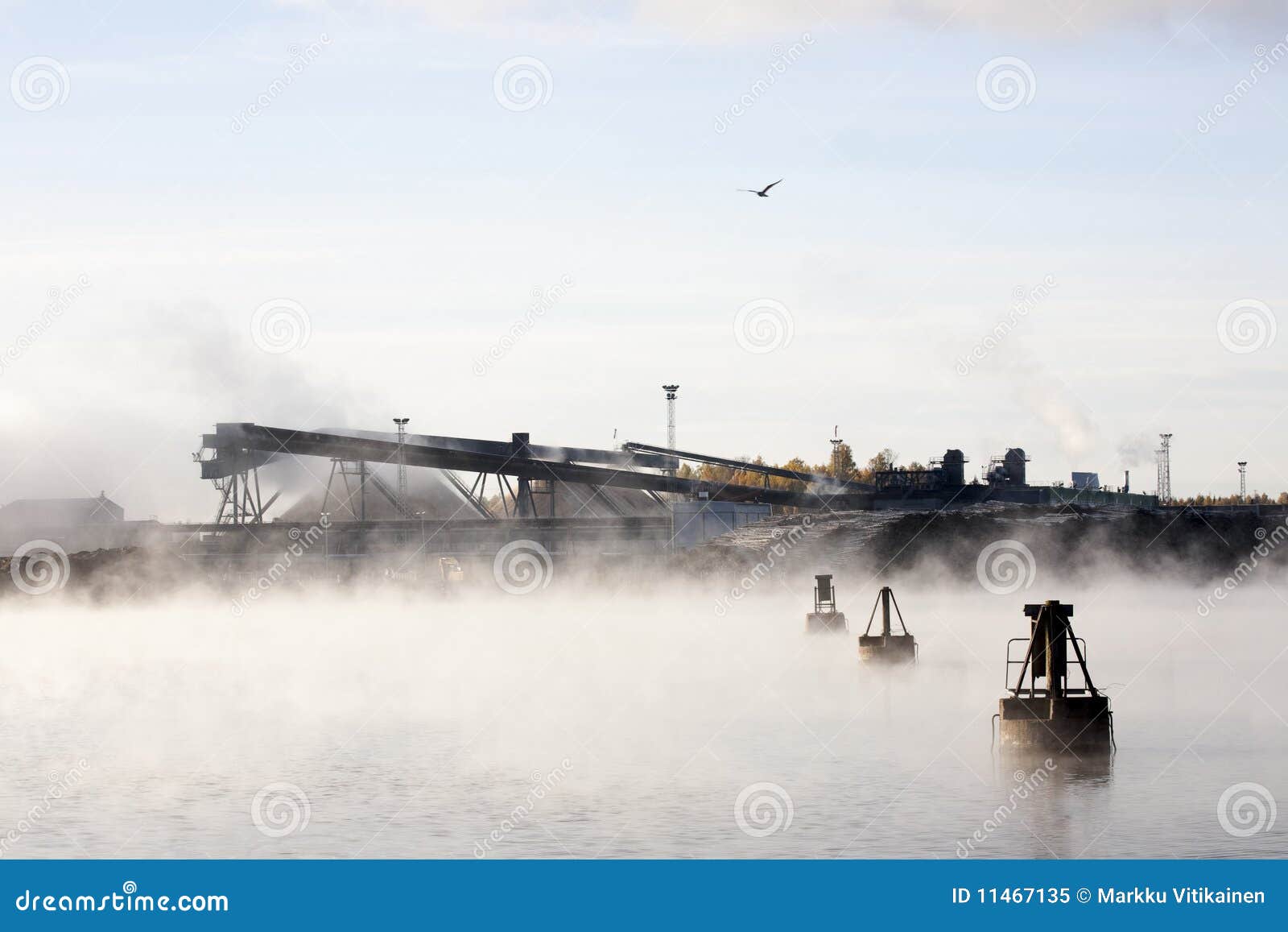 Conveyor Belt and Timber Stock Stock Image - Image of lumber, timber ...