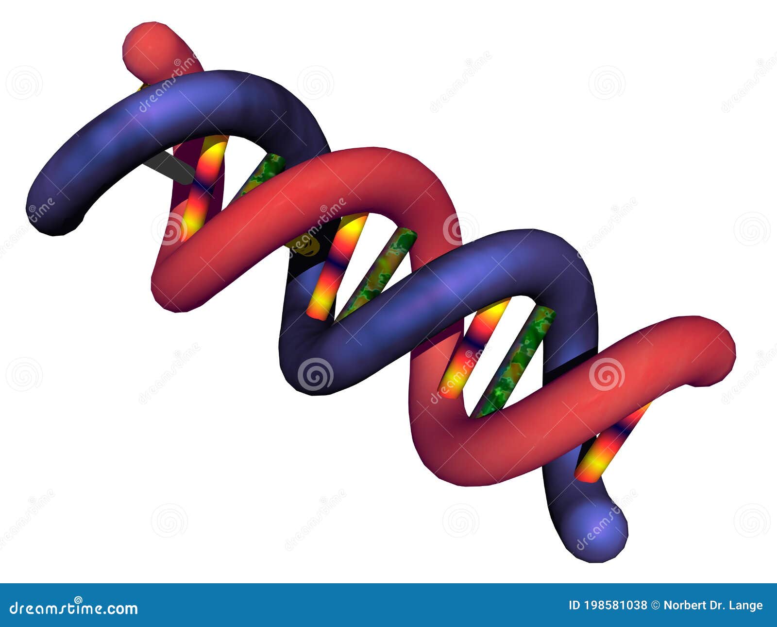 Convoluted double helix stock illustration. Illustration of structure ...