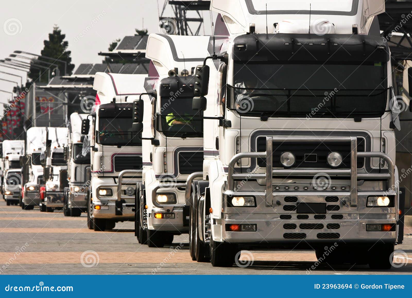Convoy of White Heavy Trucks Stock Photo - Image of line ...