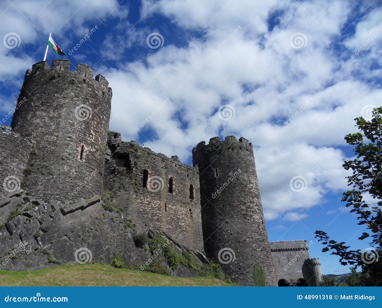 Conway Castle stock photo. Image of tree, ruins, building - 48991318