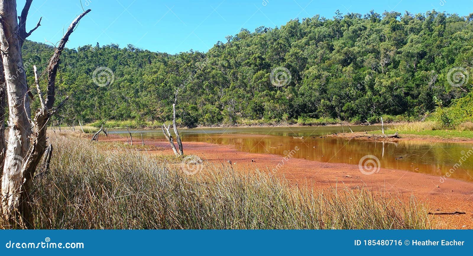 Swamp Bay, Conway National Park Royalty-Free Stock Image ...