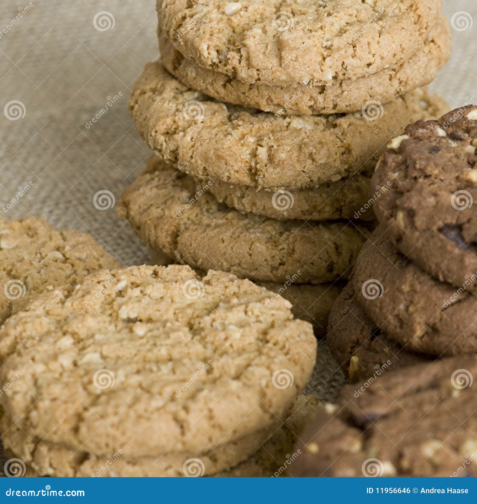 Coockies stock photo. Image of close, coockie, baked - 11956646