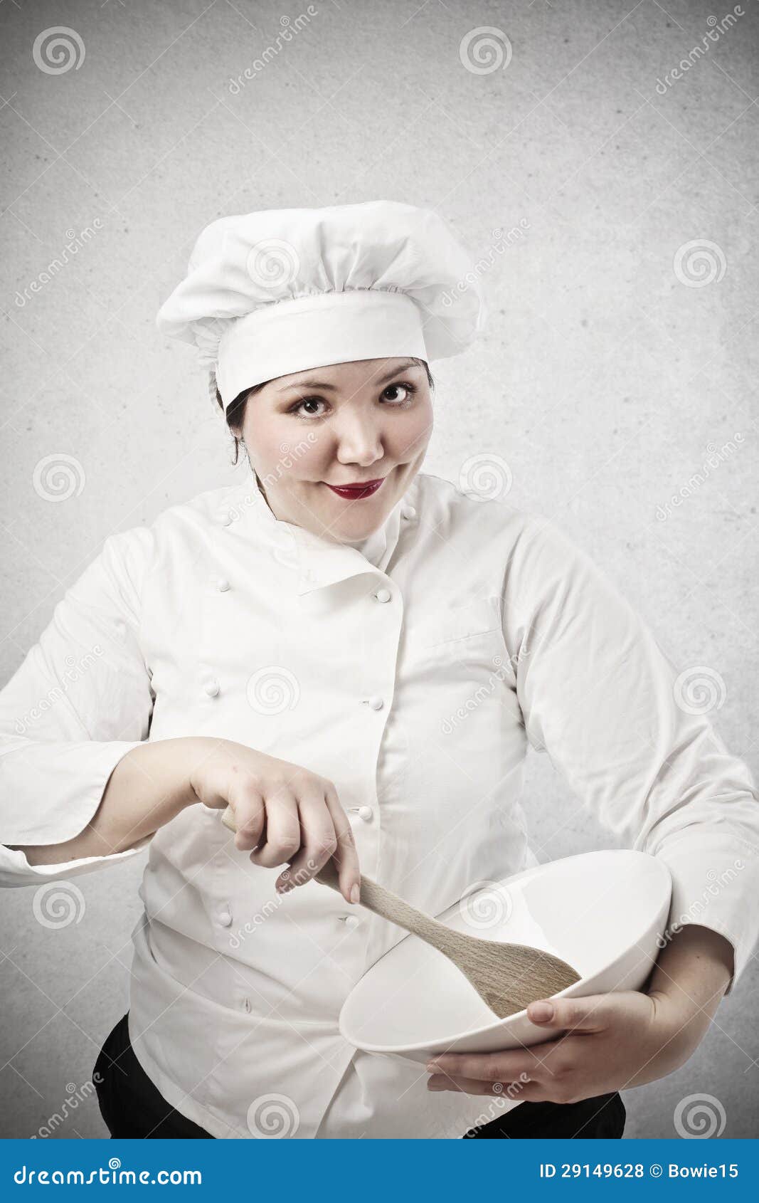 Cook stock photo. Image of work, female, white, portrait - 29149628