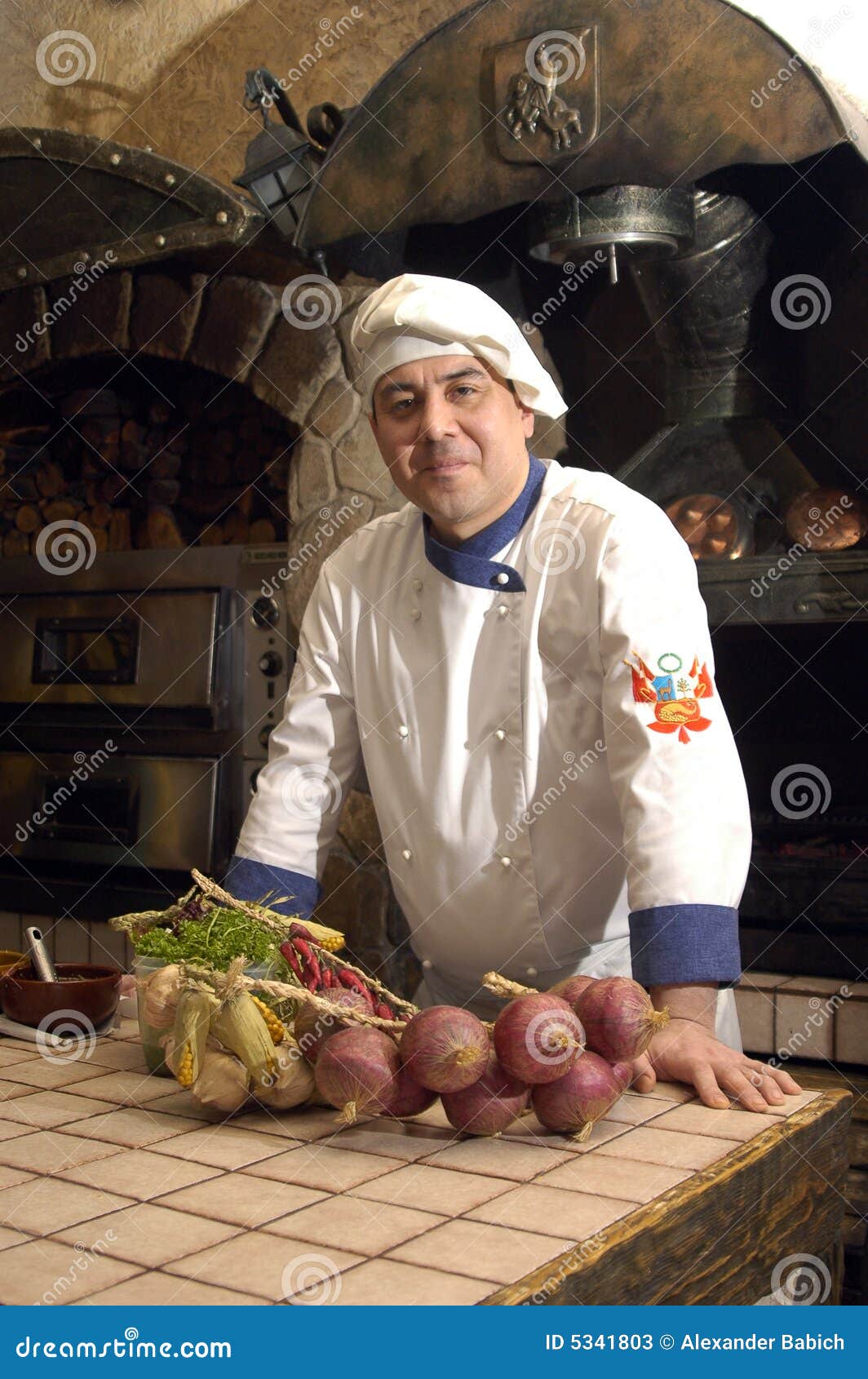 Cook stock image. Image of person, professional, repast - 5341803