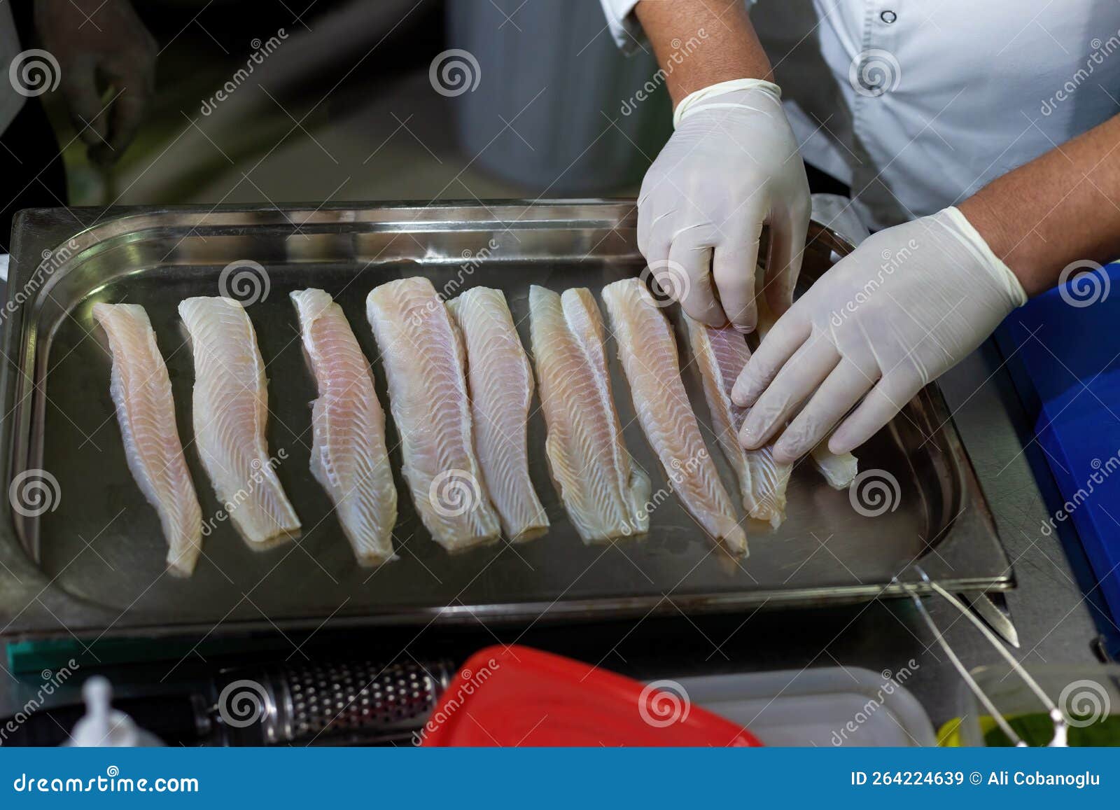 Cook Arranging Fish on a Tray Stock Image - Image of fish, dish: 264224639