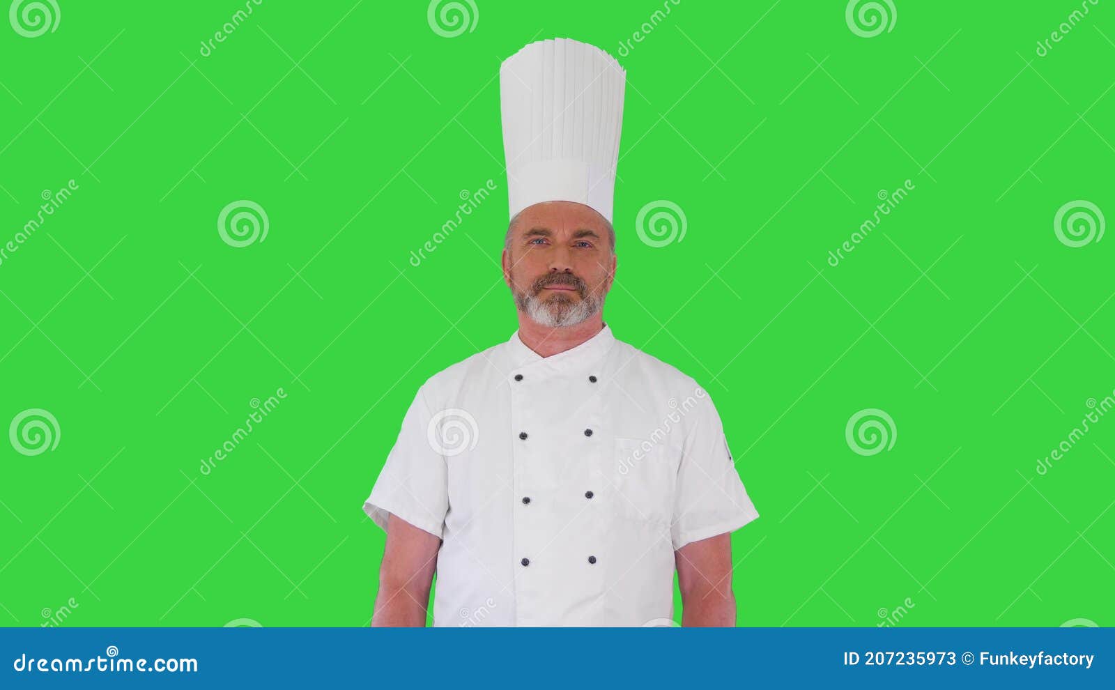 Cook in Chefs Hat and Uniform Standing Doing Nothing on a Green Screen ...