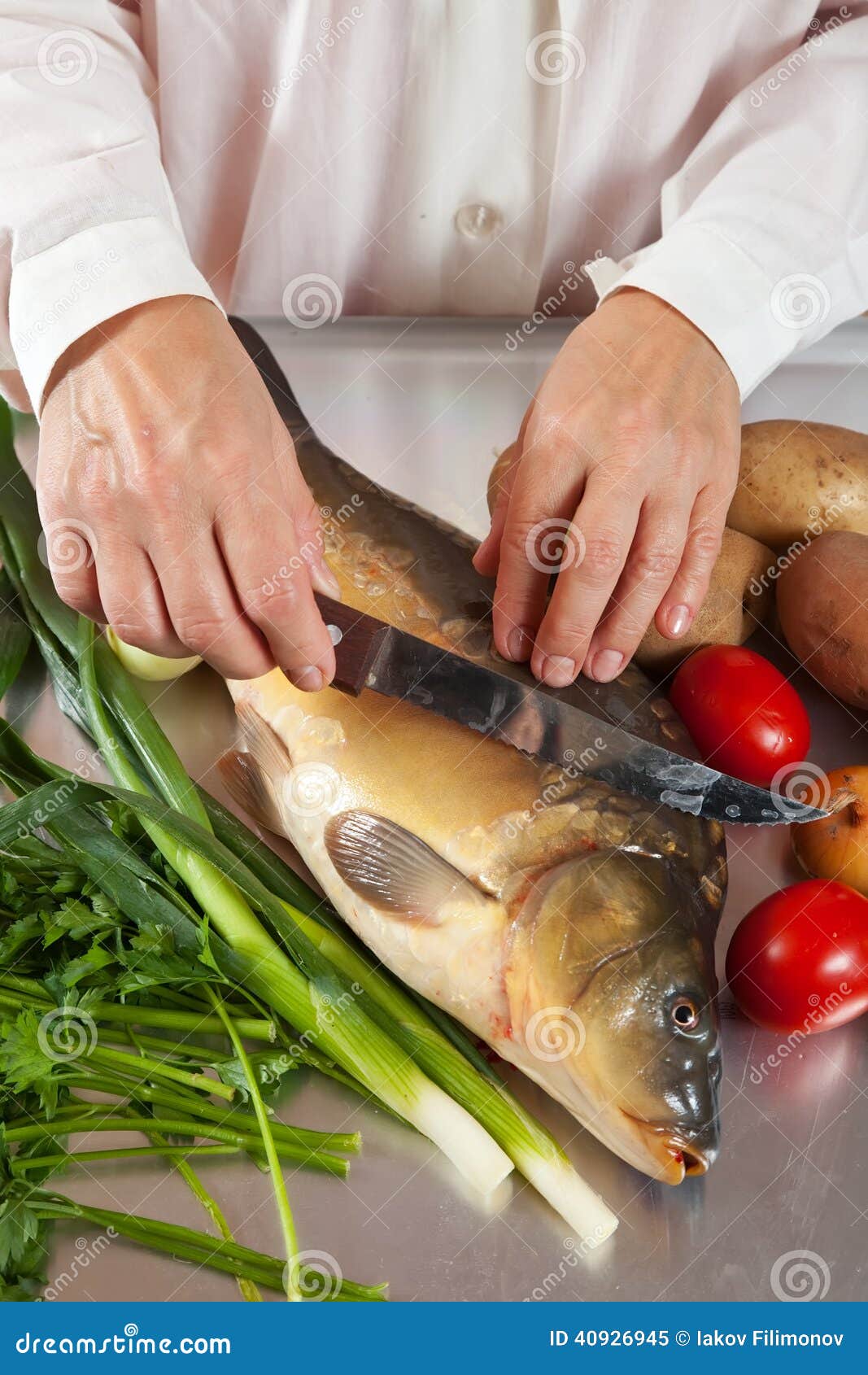 Cook cooking carp fish stock image. Image of fish, white - 40926945