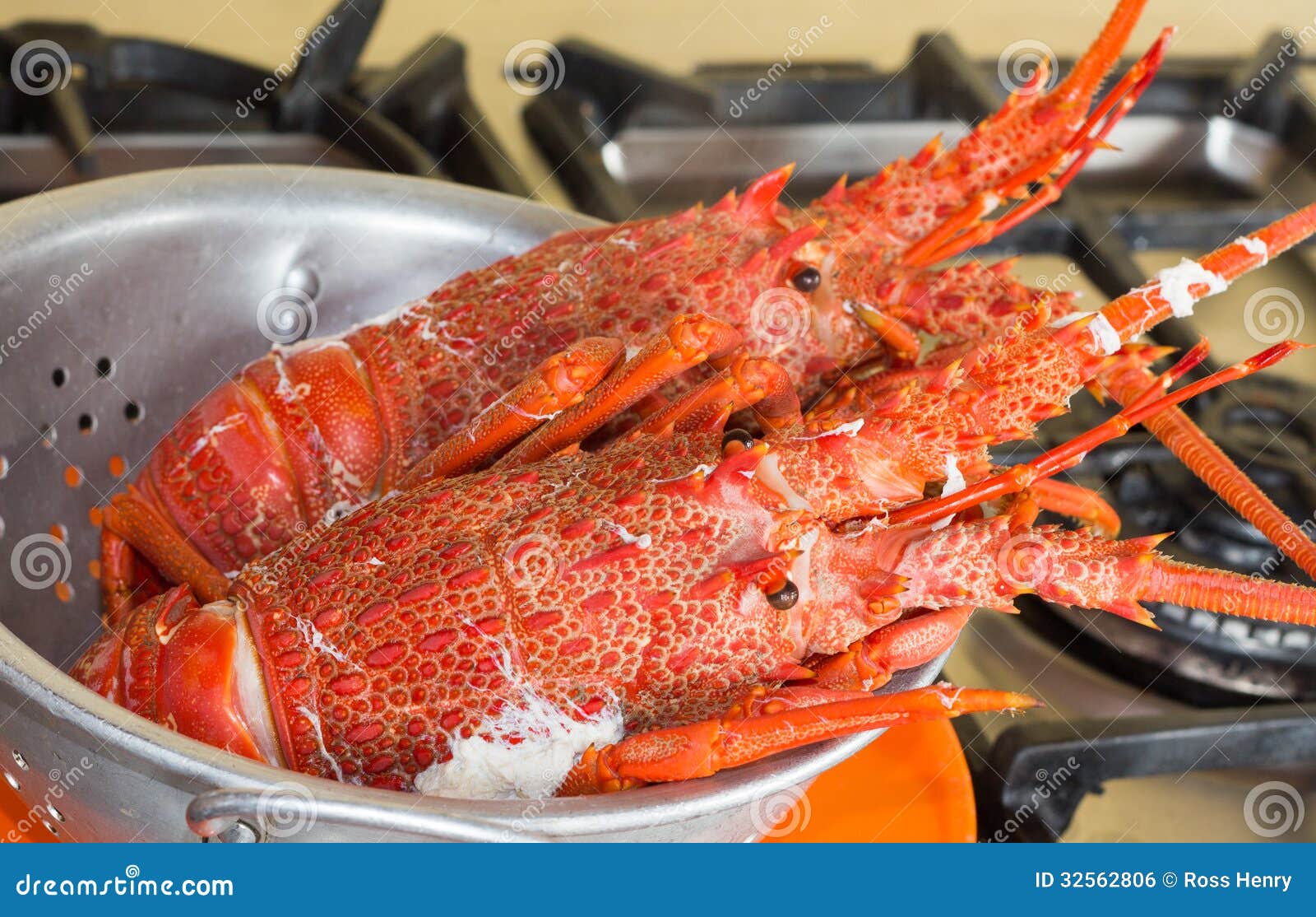 Cook Crayfish stock photo. Image of prepared, organic - 32562806