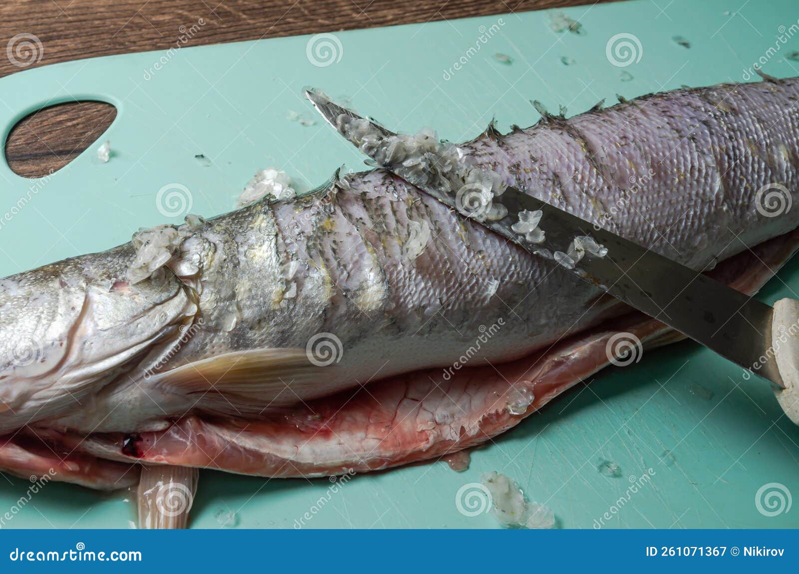 The Cook Cuts Raw Pike Fish on a Cutting Board with a Knife Stock Image ...