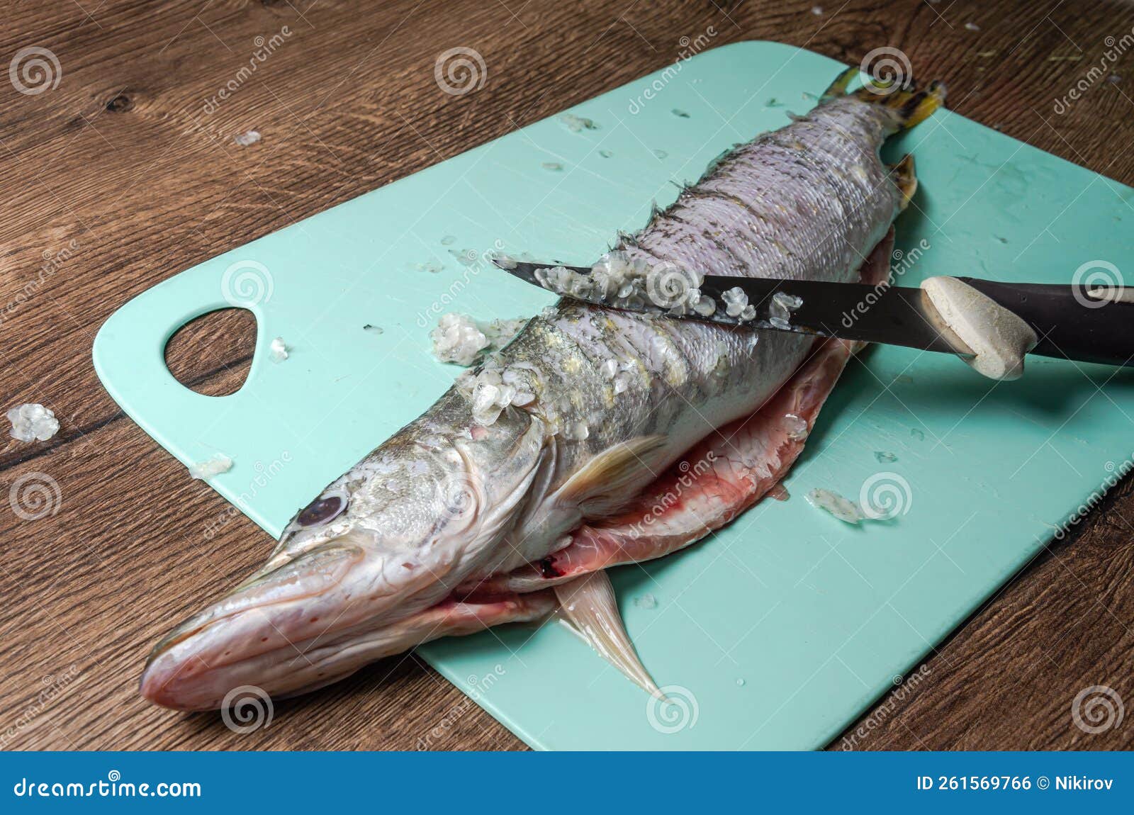 The Cook Cuts Raw Pike Fish on a Cutting Board with a Knife Stock Photo ...
