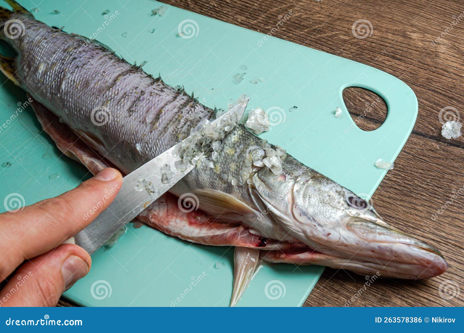 The Cook Cuts Raw Pike Fish on a Cutting Board with a Knife Stock Photo ...