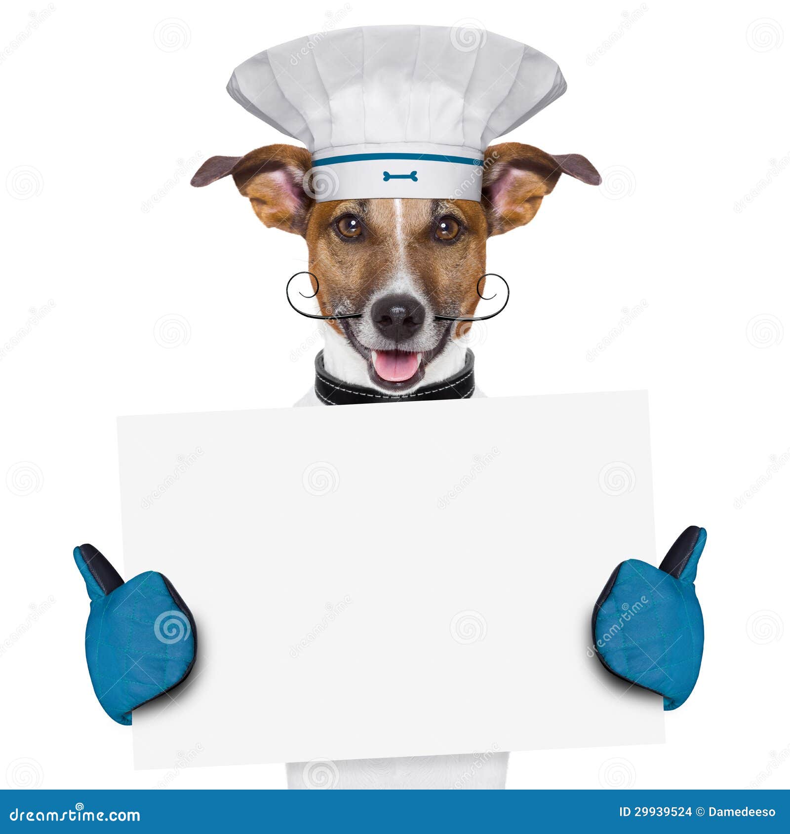Dog cook chef banner stock photo. Image of chef, board - 29939524