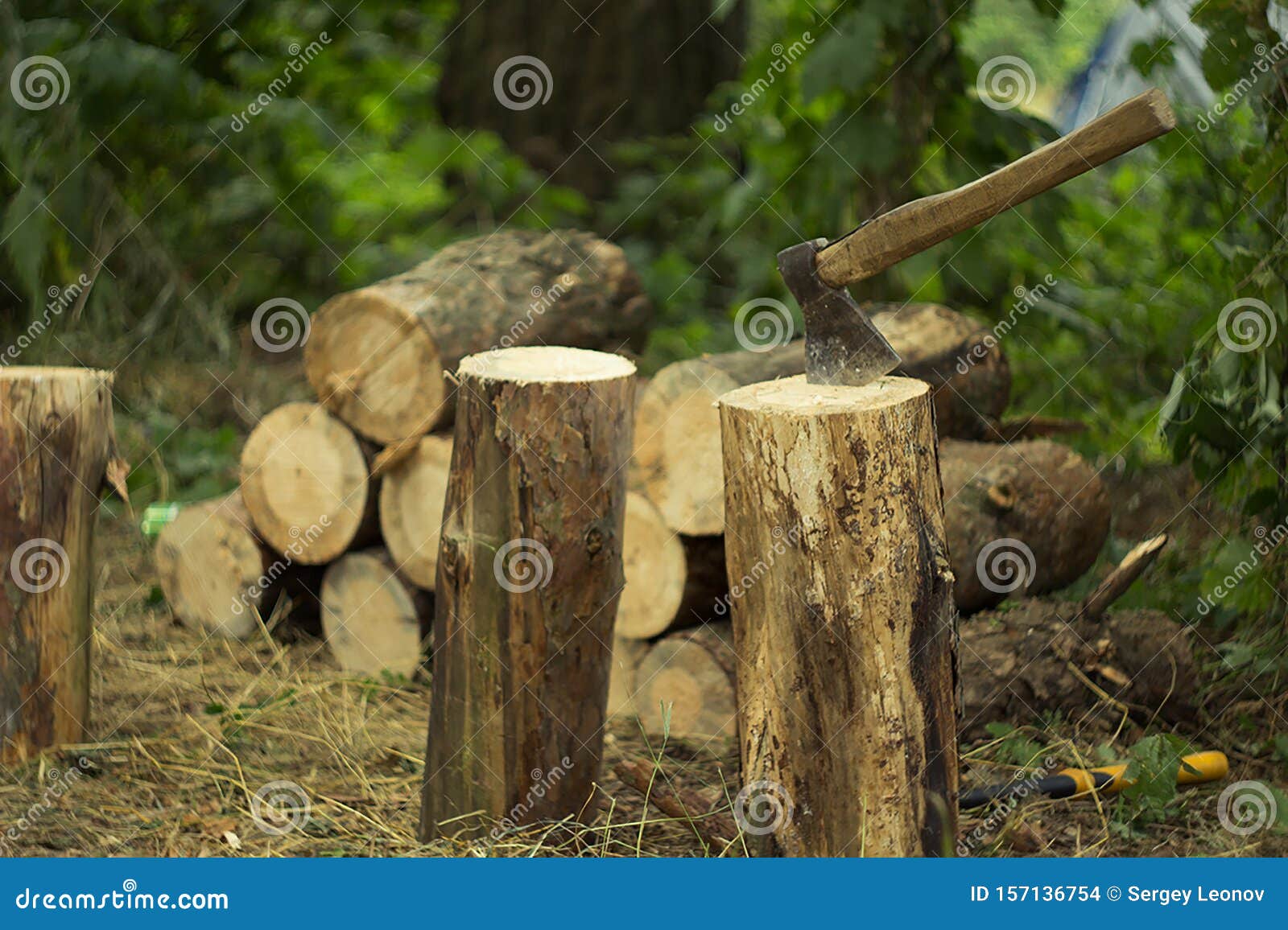 Cook at the stake wood stock photo. Image of food, cook - 157136754