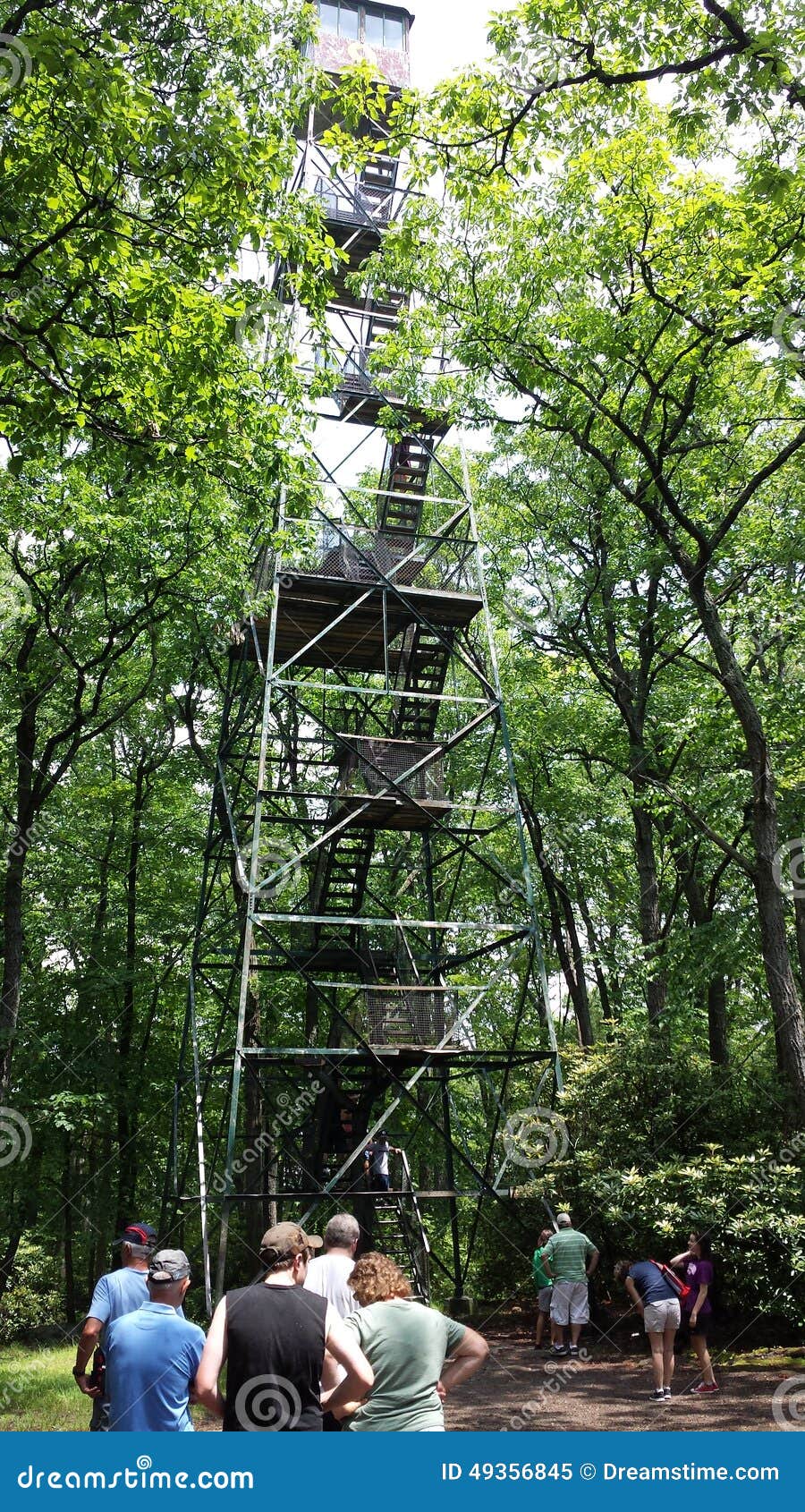 Cook Forest Fire Tower editorial image. Image of cook - 49356845