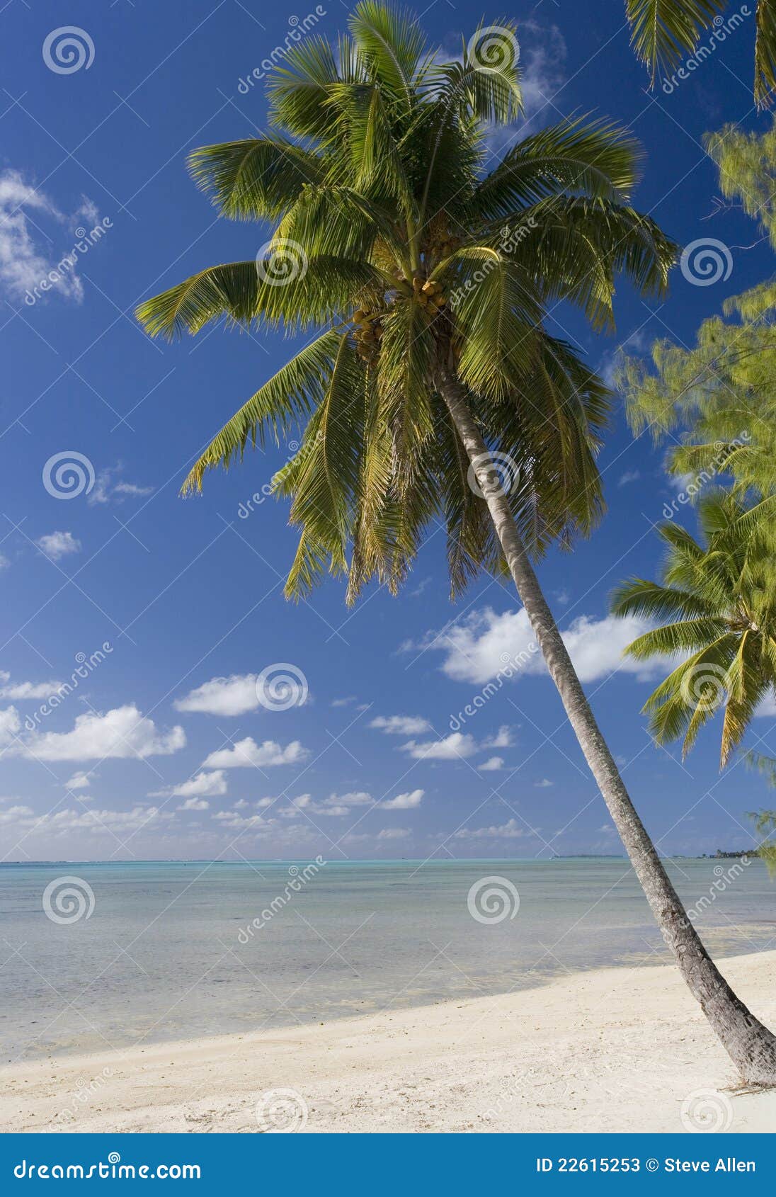 Cook Islands - Tropical Beach Paradise Stock Image - Image of romantic ...