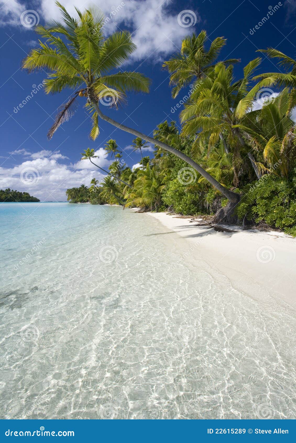 Cook Islands - Tropical Beach Paradise Stock Image - Image of coast ...